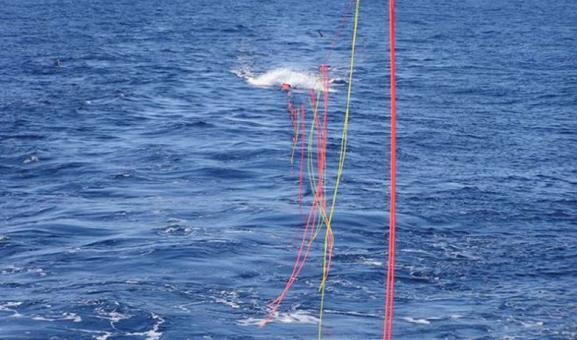 Bycatch reduction devices | Australian Fisheries Management Authority