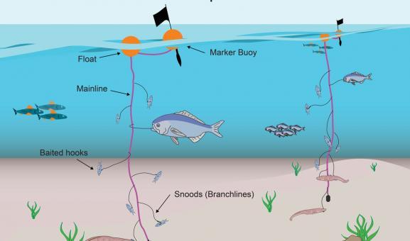 Methods and gear | Australian Fisheries Management Authority