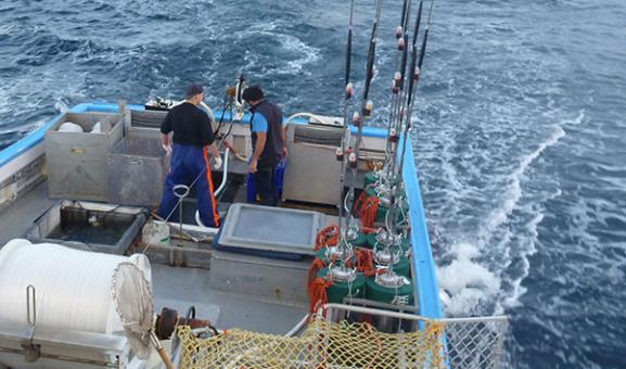 Fisheries | Australian Fisheries Management Authority