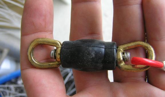 Bycatch reduction devices | Australian Fisheries Management Authority