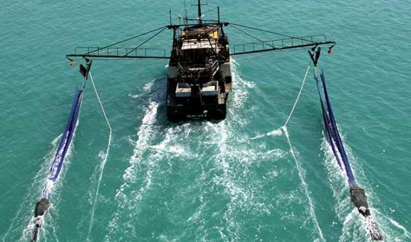 Methods and gear | Australian Fisheries Management Authority