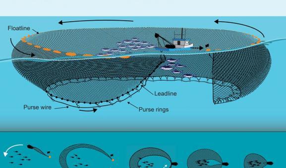 Methods and gear | Australian Fisheries Management Authority