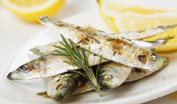 Species | Australian Fisheries Management Authority