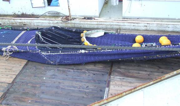 Bycatch reduction devices | Australian Fisheries Management Authority