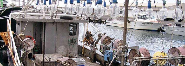 Home | Australian Fisheries Management Authority