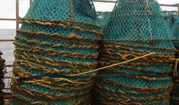 Methods and gear | Australian Fisheries Management Authority