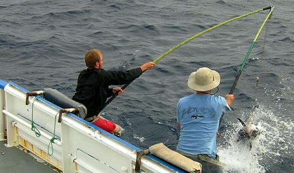 Methods and gear | Australian Fisheries Management Authority