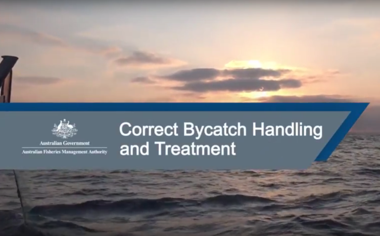 Reducing bycatch | Australian Fisheries Management Authority